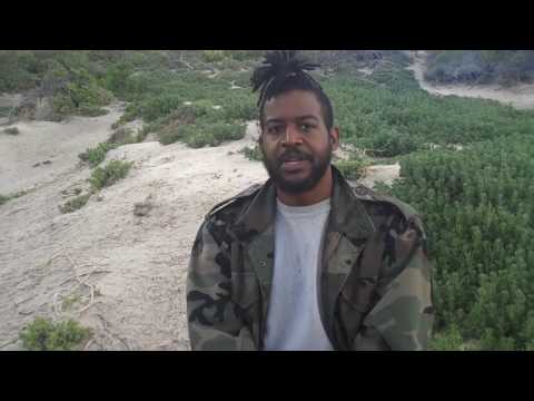 I’m Taking Time Away to Dream | Jon-Michael Gunnels