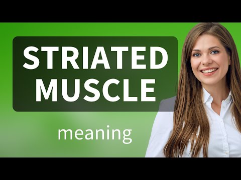 Striated muscle — what is STRIATED MUSCLE meaning