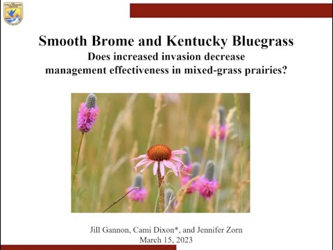 Smooth Brome and Kentucky Bluegrass – Does Increased Invasion Decrease Management Effectiveness?