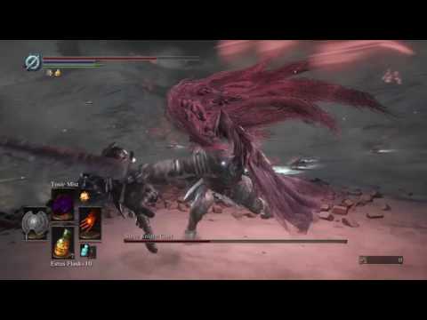 Steam Community :: Video :: Dark Souls 3 Ringed city Final Boss Slave ...