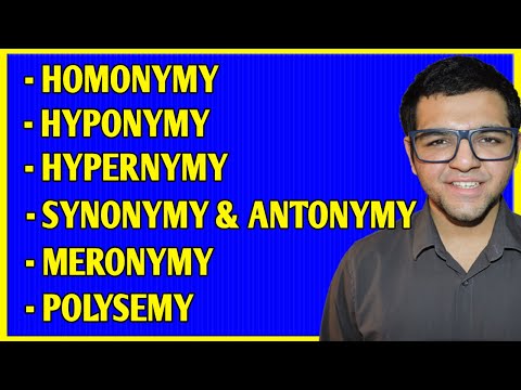 Homonymy | Hyponymy & Hypernymy | Meronymy | Synonymy | Antonymy | Polysemy