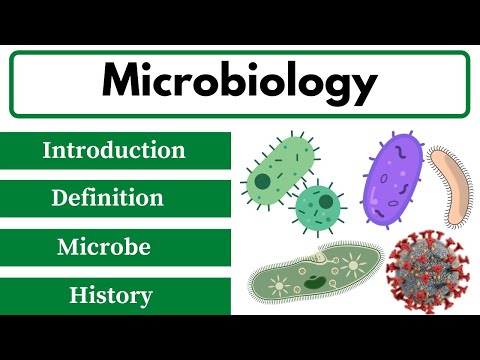Introduction To Microbiology In Hindi Urdu || What Is Microbes In Hindi || History Of Microbiology