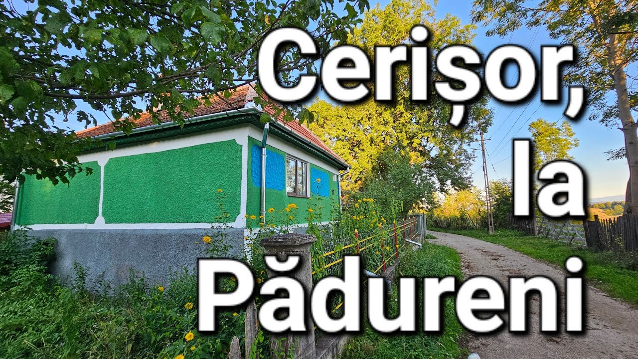 (VIDEO) Ținutul pădurenilor, animat de sărbătorile verii. Festivalul ...