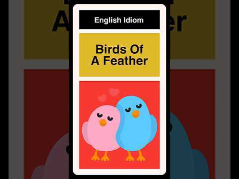 Birds of a feather - Idiom