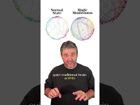 Your Brain on Magic Mushrooms #Shorts #Psychedelic #Mushroom