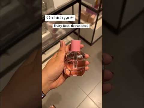 Zara top 5 fragrances