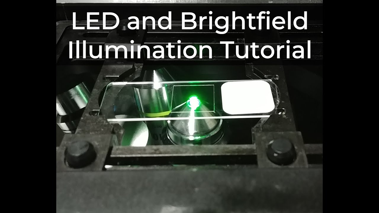 LED and brightfield illumination tutorial