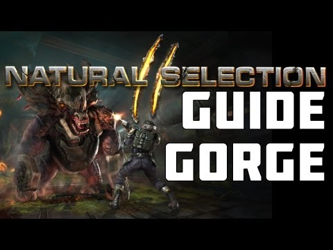 Steam Community :: Video :: Guide - Natural Selection 2 : Gorge