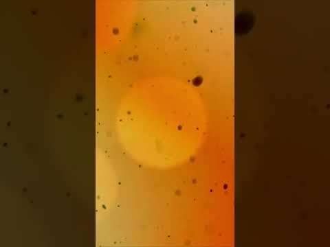 4K Yellow Overlay Bokeh Background #vertical #screeneffect #cinematiceffect #yellow #effects #stock