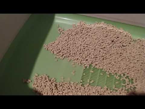 Tidy Cats Breeze XL litter system review | 1 week later