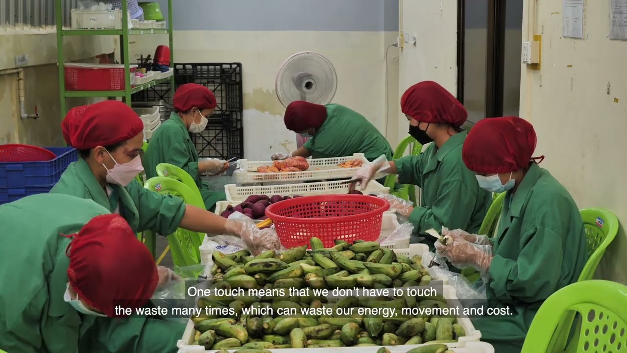 Swiss Contact - CSL Company Profile