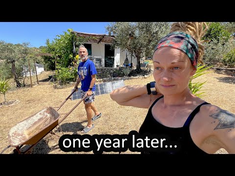 WE BOUGHT OFF GRID LAND WITHOUT SEEING IT - ANY REGRETS ??