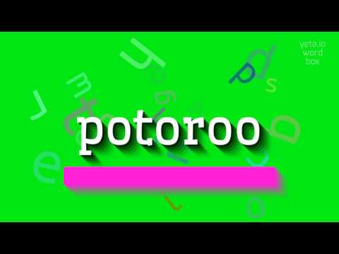 POTOROO - HOW TO SAY POTOROO? #potoroo
