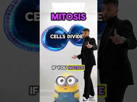 GCSE Biology - Mitosis Rap