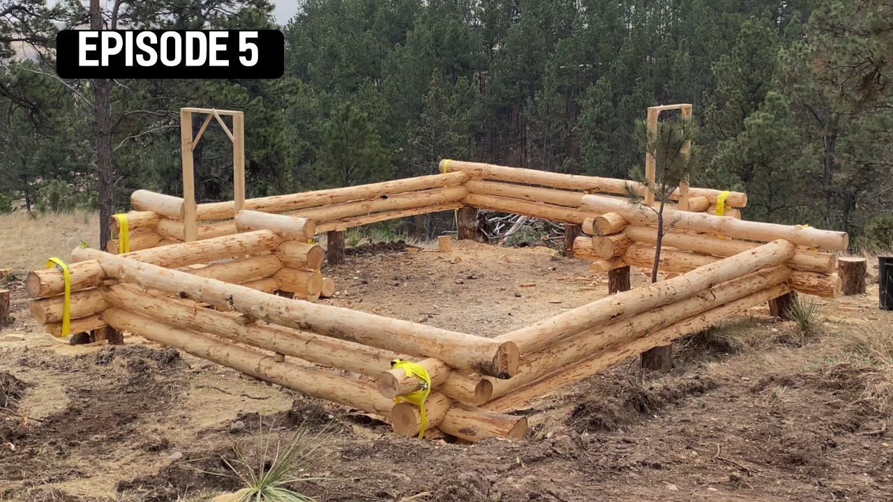 Building a Log Cabin Solo- Episode 5