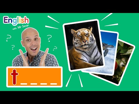 🐯 Words starting with 't' | Kids first vocabulary | 🔤 Phonics with Mr Sean