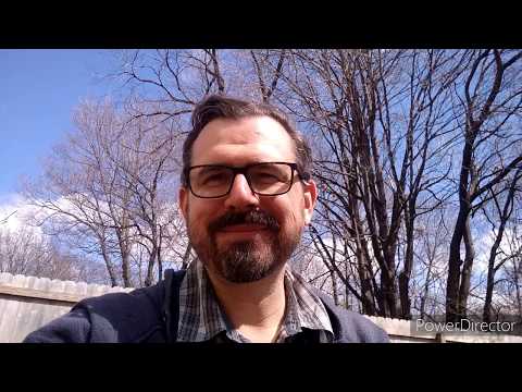 Zooniverse Citizen Science at Home