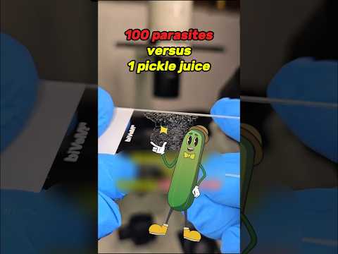 Can Pickle Juice Destroy Parasites? | Parasites Versus Pickle Juice