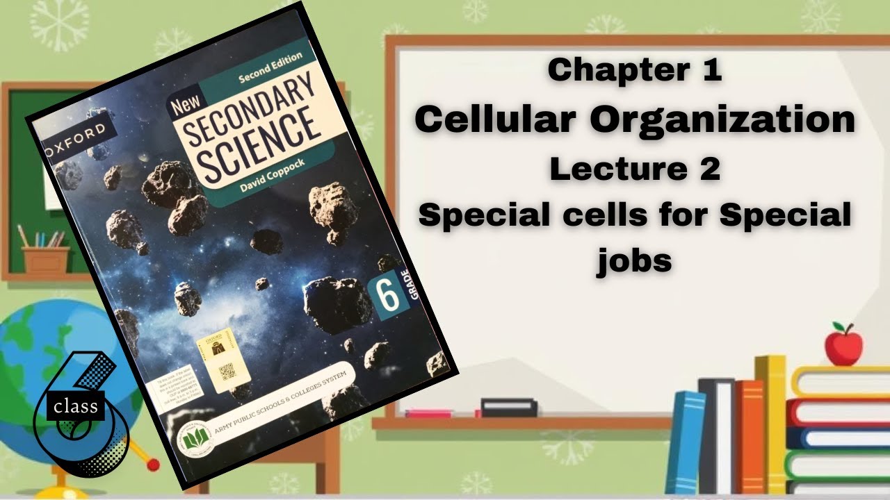 Special Cells That Save Lives! 🧬 Class 6 Science Ch-1 | David Coppock New Secondary Science