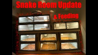 Will Nace - Custom Cages