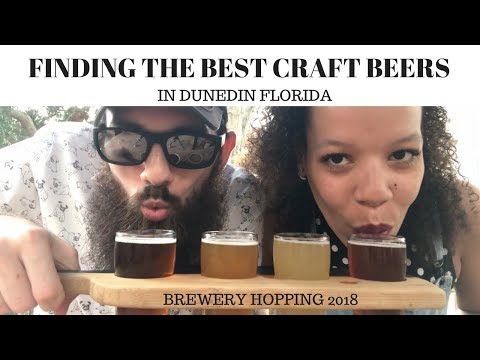 Finding The Best Craft Beer in Dunedin Florida