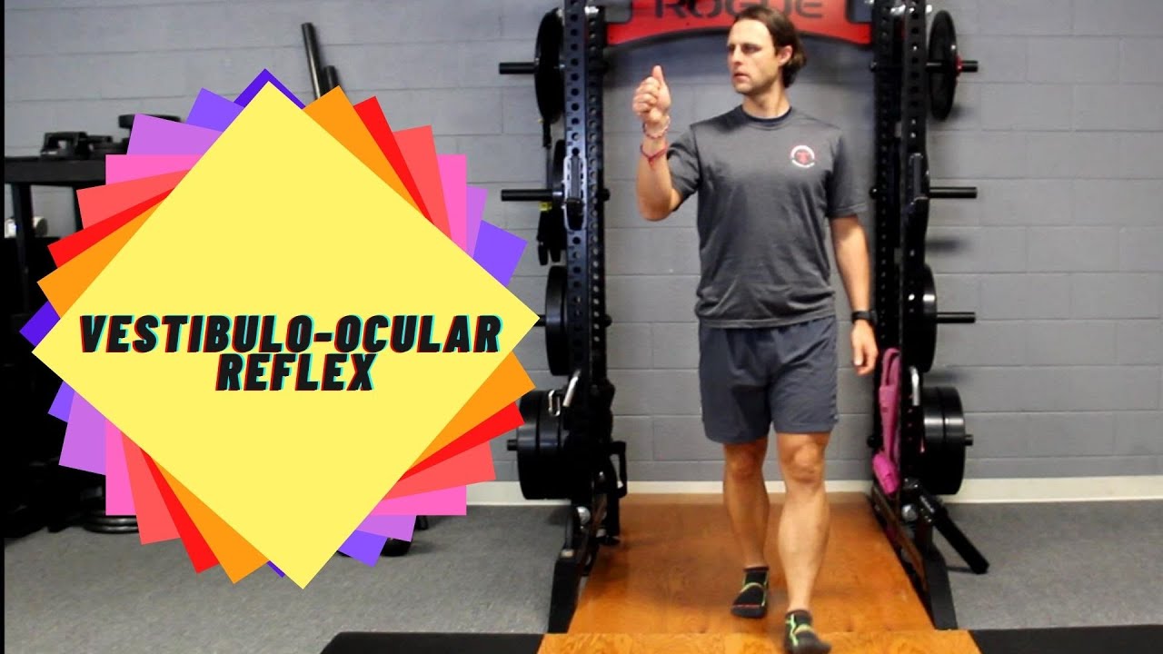 Vestibulo ocular reflex training (VOR)
