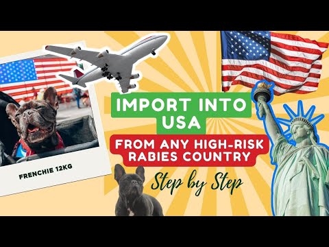 How to import your dog into the USA from a high-risk rabies country? Requirements & Step-by-step