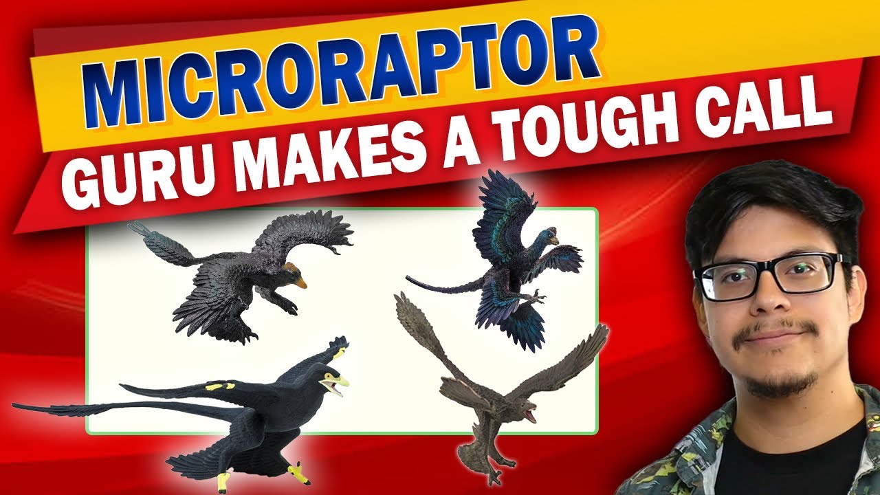 Microraptor - Paleontologist Judges a Close Contest for the Best - Ep. 2 - Dinosaur Review Show