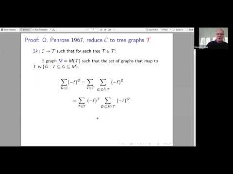 David Brydges: Lace expansions and spin models