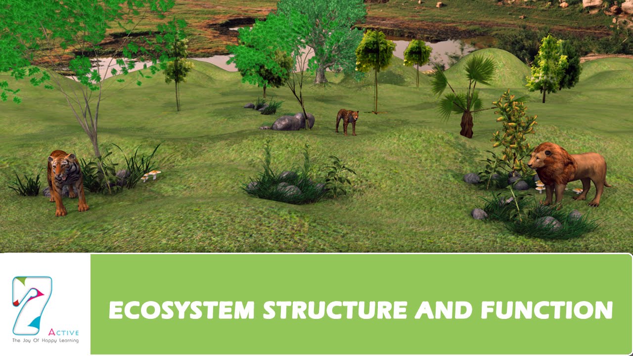 ECOSYSTEM STRUCTURE AND FUNCTION _ PART 01