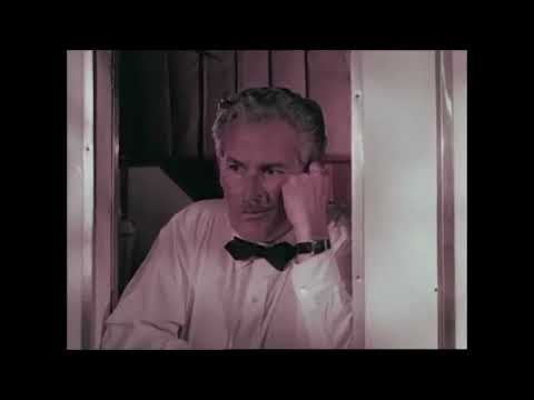 Schnauser - Obligations