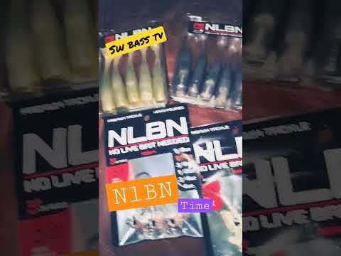 3 inch nlbn bait variety sw bass tv artificial swimbaits snook candy!!!