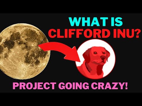What Is CLIFFORD INU? The Big Red Dog! Hyper deflationary token with blue chip NFTs + Potential!