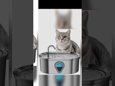 Best product reviews : 3.5L large capacity pet water dispenser automatic stainless steel cat