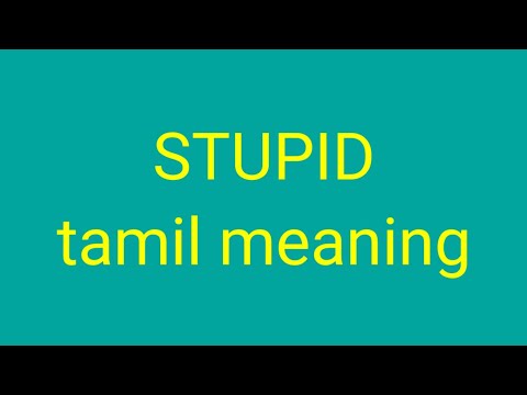 STUPID tamil meaning/sasikumar