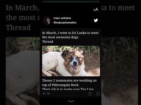 Compile a Twitter Thread with Threader iOS
