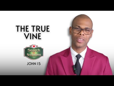 John 15 | THE TRUE VINE | Search the Scriptures| #dclm #searchthescriptures #biblestudy