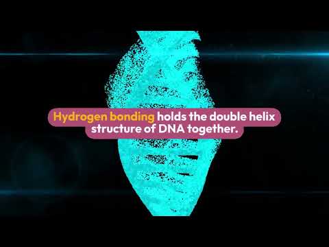 What is Hydrogen Bond