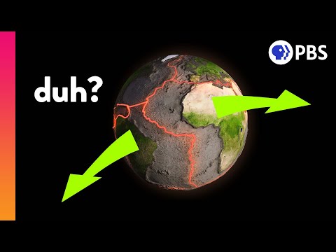 Why It Took Scientists So Long To Accept This Very Obvious Idea