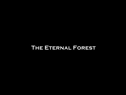 The Eternal Forest Trailer - A 3-Hour Short Film Challenge - Shot on DJI Osmo Pocket 3