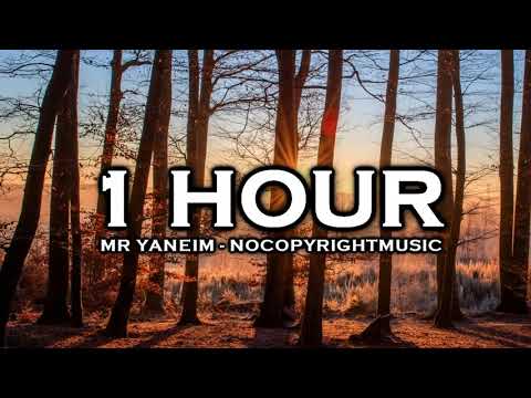 Joakim Karud - Dreams (1 HOUR VERSION) ♫ NoCopyrightMusic ♫