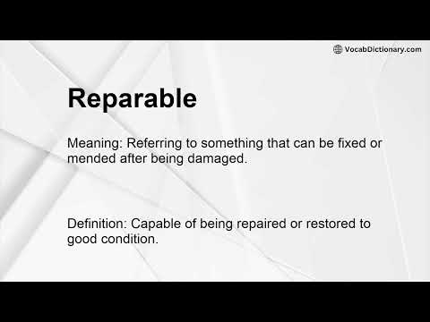Reparable Meaning