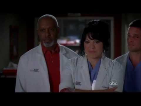 The Physician's Oath ( Grey's Anatomy )
