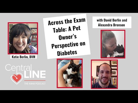 Across the Exam Table: A Pet Owner’s Perspective on Diabetes