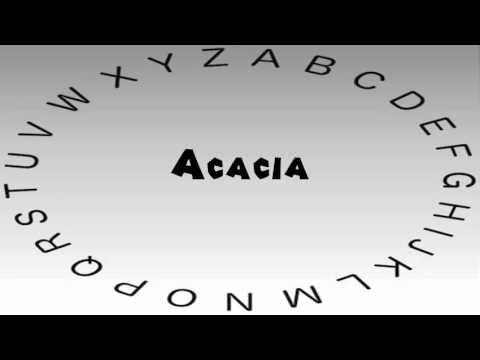 How to Say or Pronounce Acacia