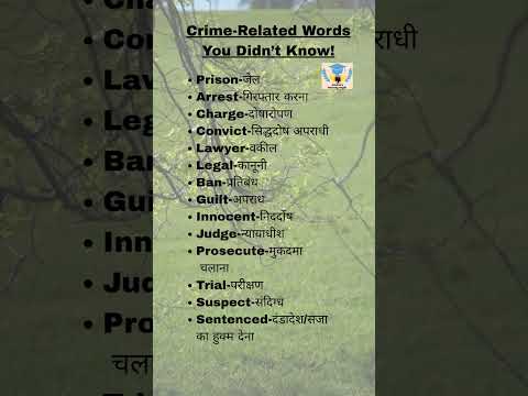 Crime Related Words Explained: Boost Your Vocabulary Today