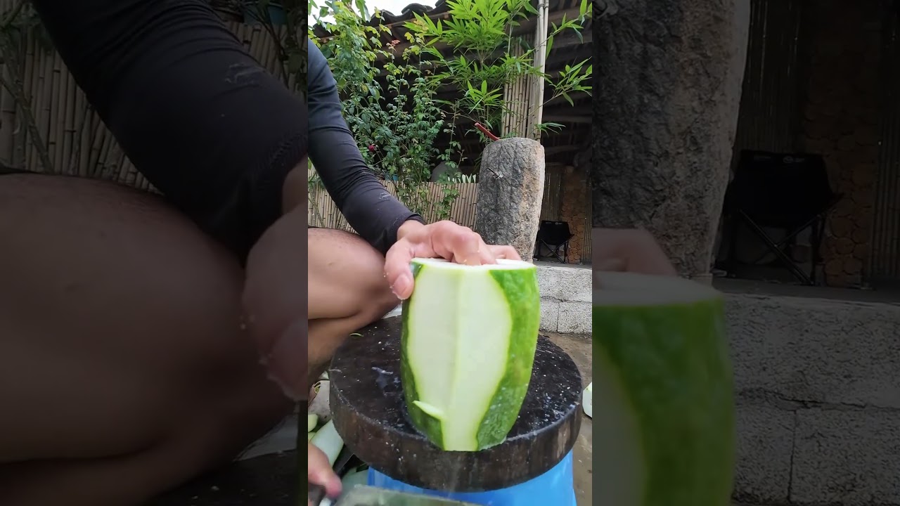 RT 30002454 mini rotary tillage and ridging all in one tree 🌴