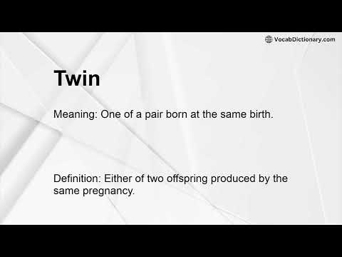 Twin Meaning