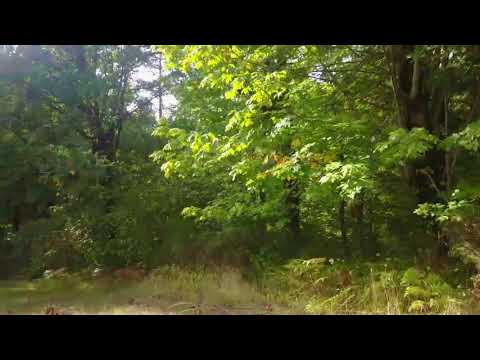 49065 NW David Hill Rd Forest Grove OR 97116