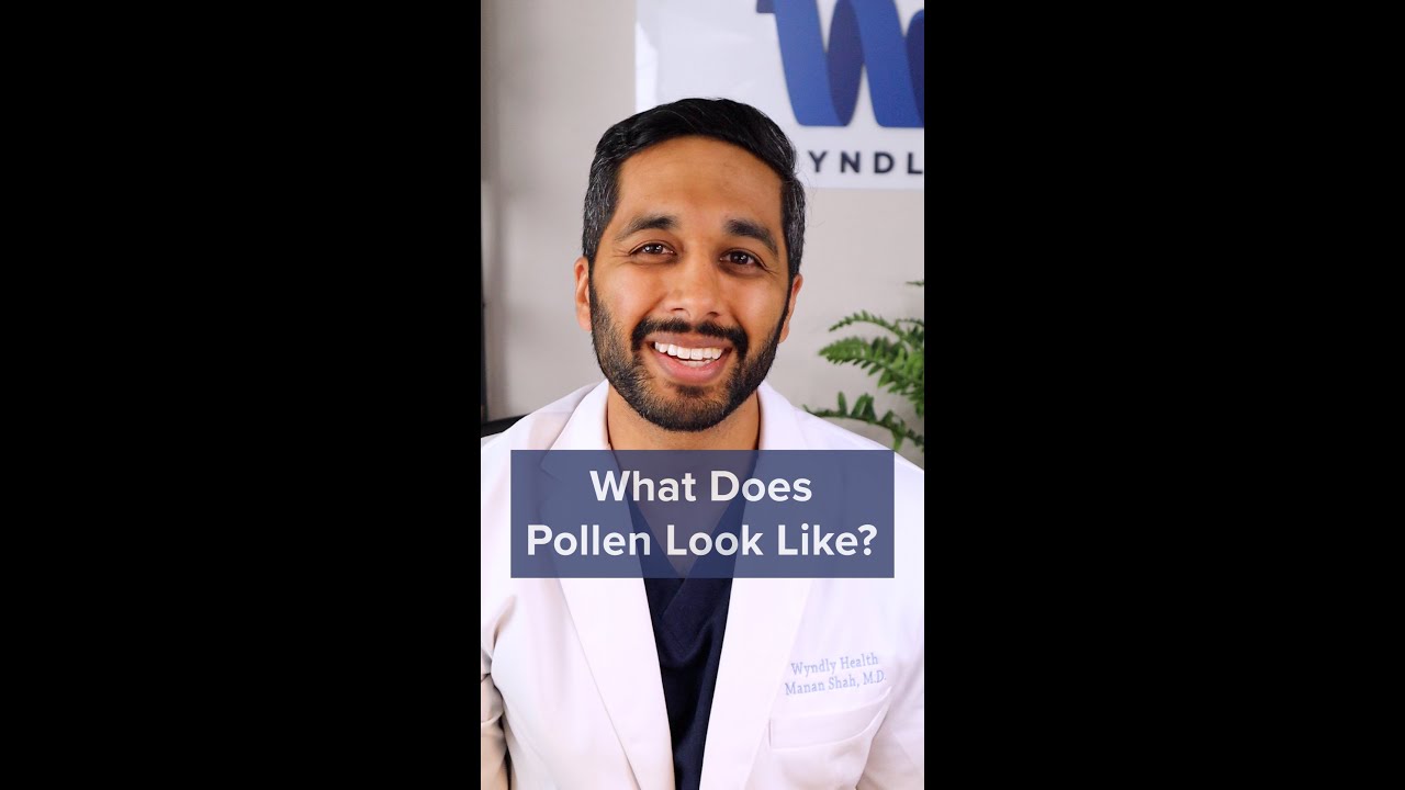 What Does Pollen Look Like?